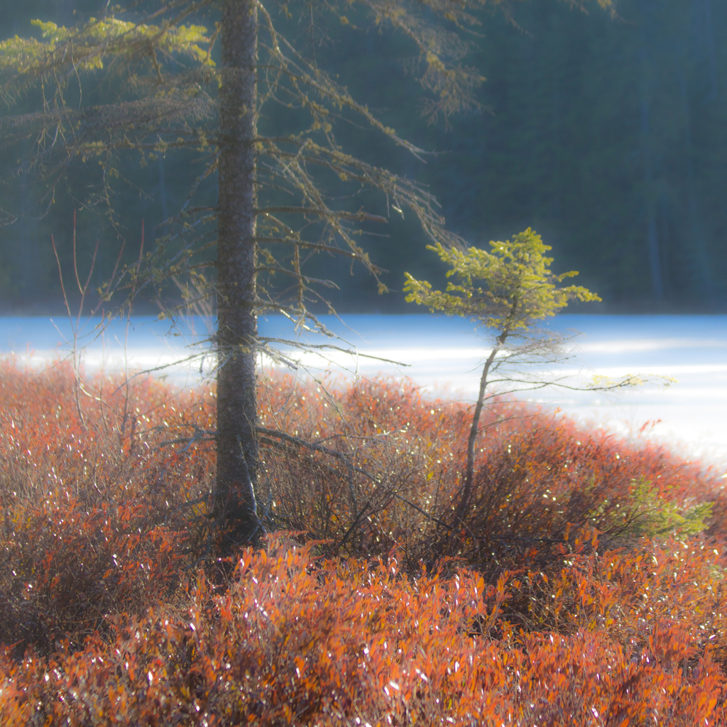 The Gift of Imagination - Under an Open Sky - How then shall we live ...